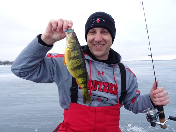 Simcoe Perch Hammering Blue Minnows - Pautzke Bait Co
