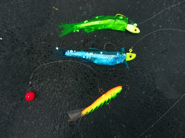 Simcoe Perch Hammering Blue Minnows - Pautzke Bait Co