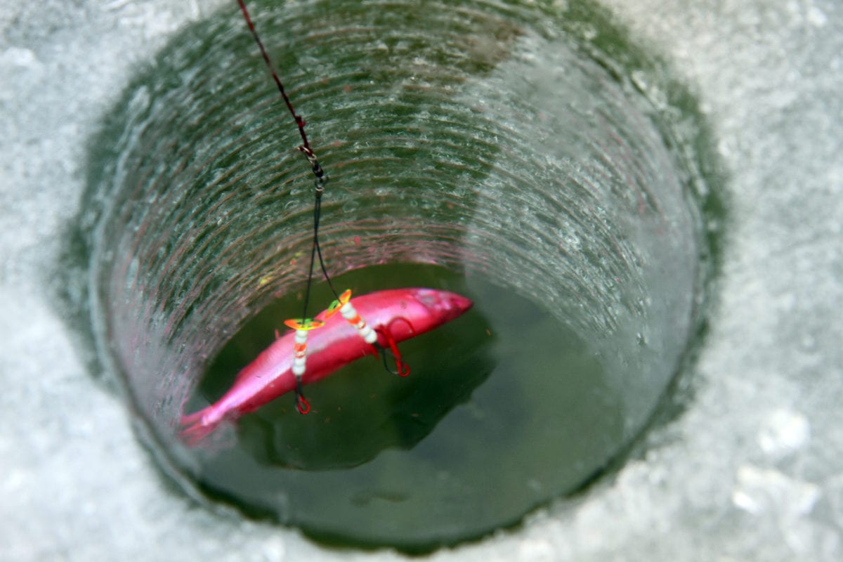 Colorful Fire Brine Smelt Catching Montana Pike - Pautzke Bait Co