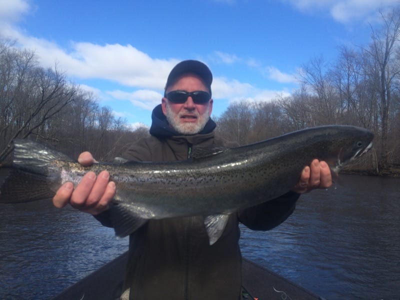 NY's Salmon River Spring Steelhead Run Underway - Pautzke Bait Co