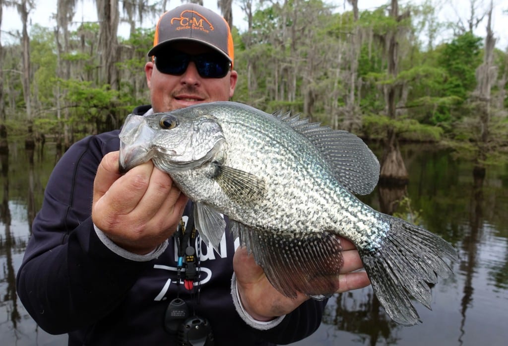 Alabama River Crappie Bite Taking Off - Pautzke Bait Co
