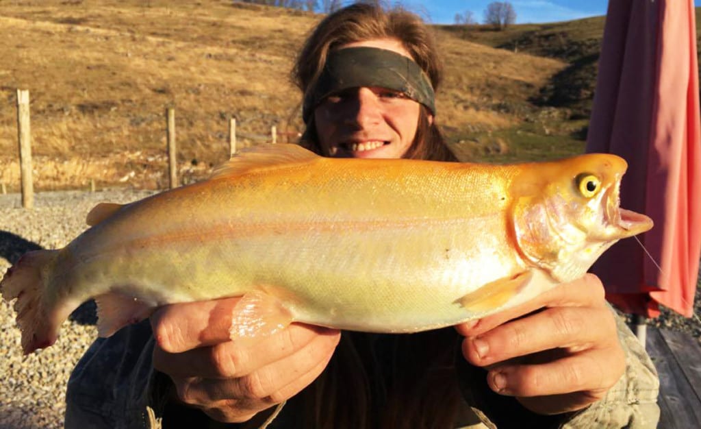 Take Kids Here to Catch Virginia Stocked Trout - Pautzke Bait Co